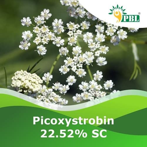 Picoxystrobin 22.52% SC - Peptech Biosciences Ltd.