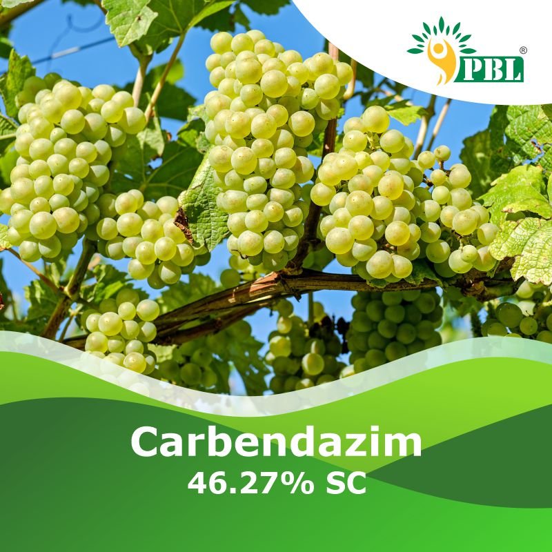 Carbendazim 46.27% SC - Peptech Biosciences Ltd.