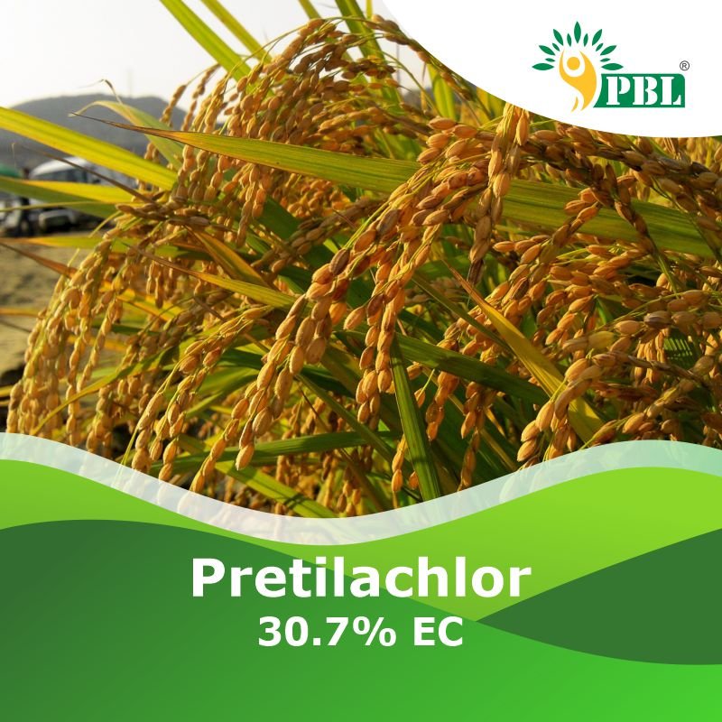 Bispyribac Sodium 10% - Herbicides | Peptech Biosciences Ltd.