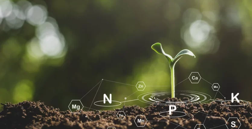 bio chelate fertilizers