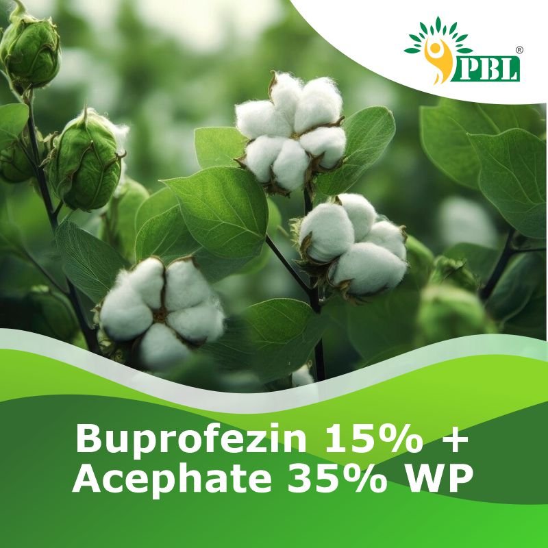 Buprofezin 15% + Acephate 35% WP