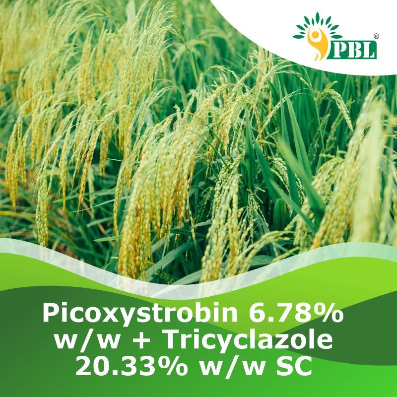 Picoxystrobin 6.78% w/w + Tricyclazole 20.33% w/w SC - Peptech ...