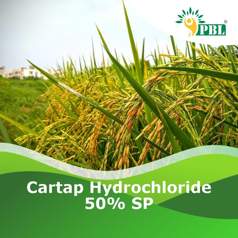 Cartap Hydrochloride 50% SP - Peptech Biosciences Ltd.